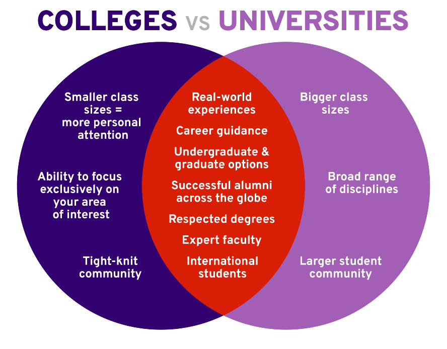 Colleges vs. Universities | LIM College